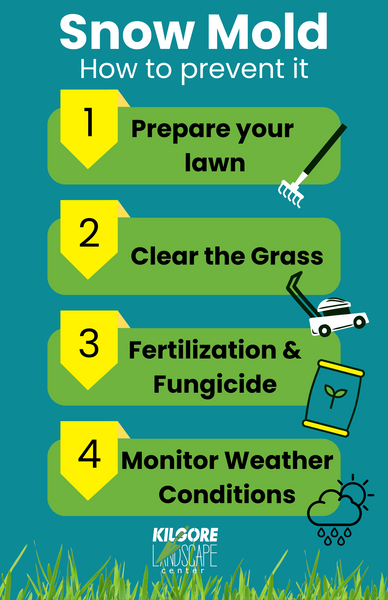 What Is Snow Mold? How Do I Prevent It? – Asphalt Materials
