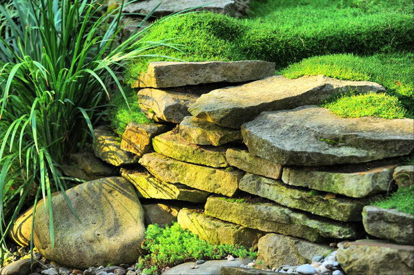Types of Landscape Rocks for Ground Cover – Asphalt Materials