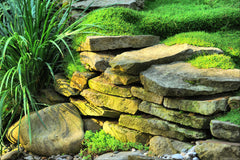 Types of Landscape Rocks for Ground Cover – Asphalt Materials