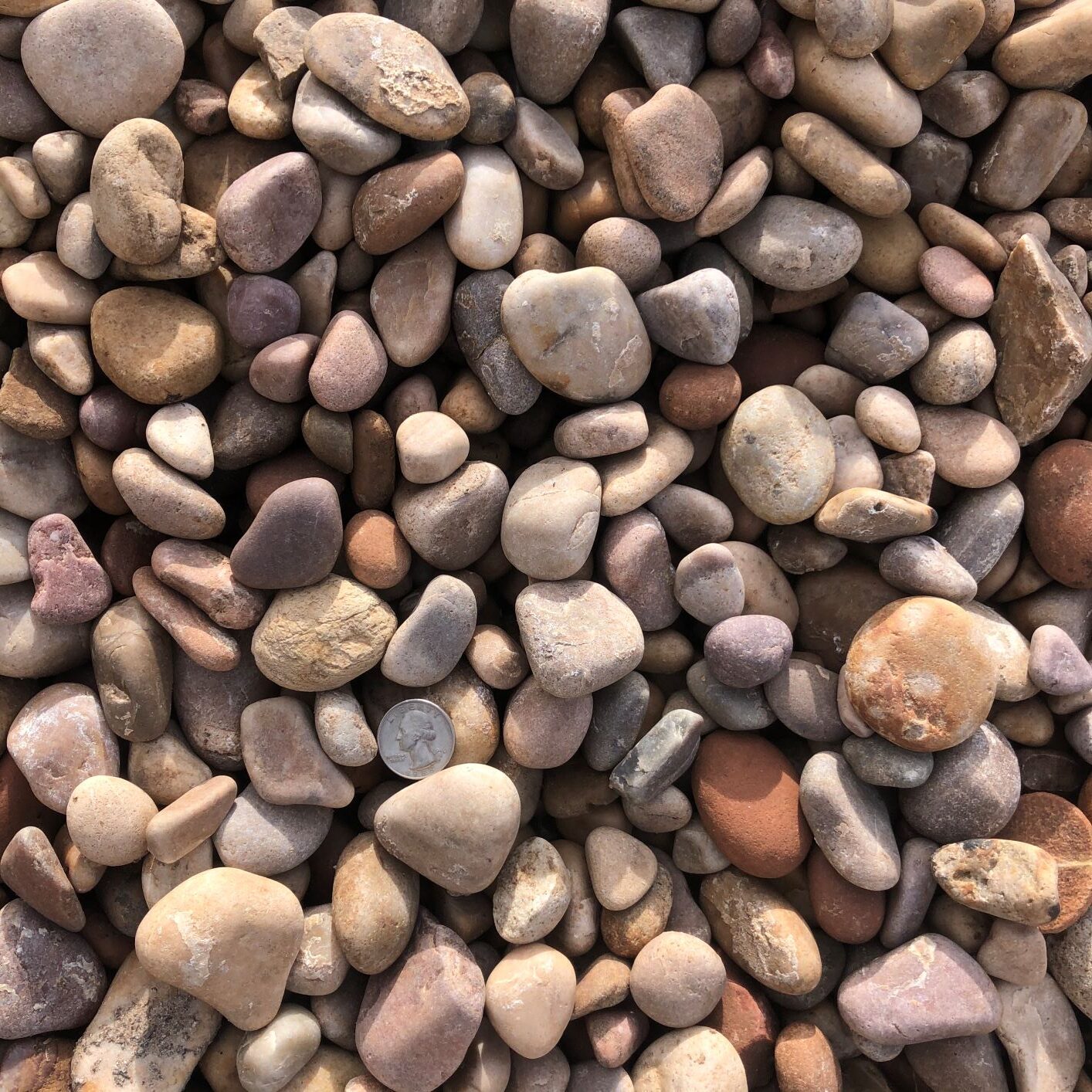 Sunset Cobble 1″-2″ – Asphalt Materials